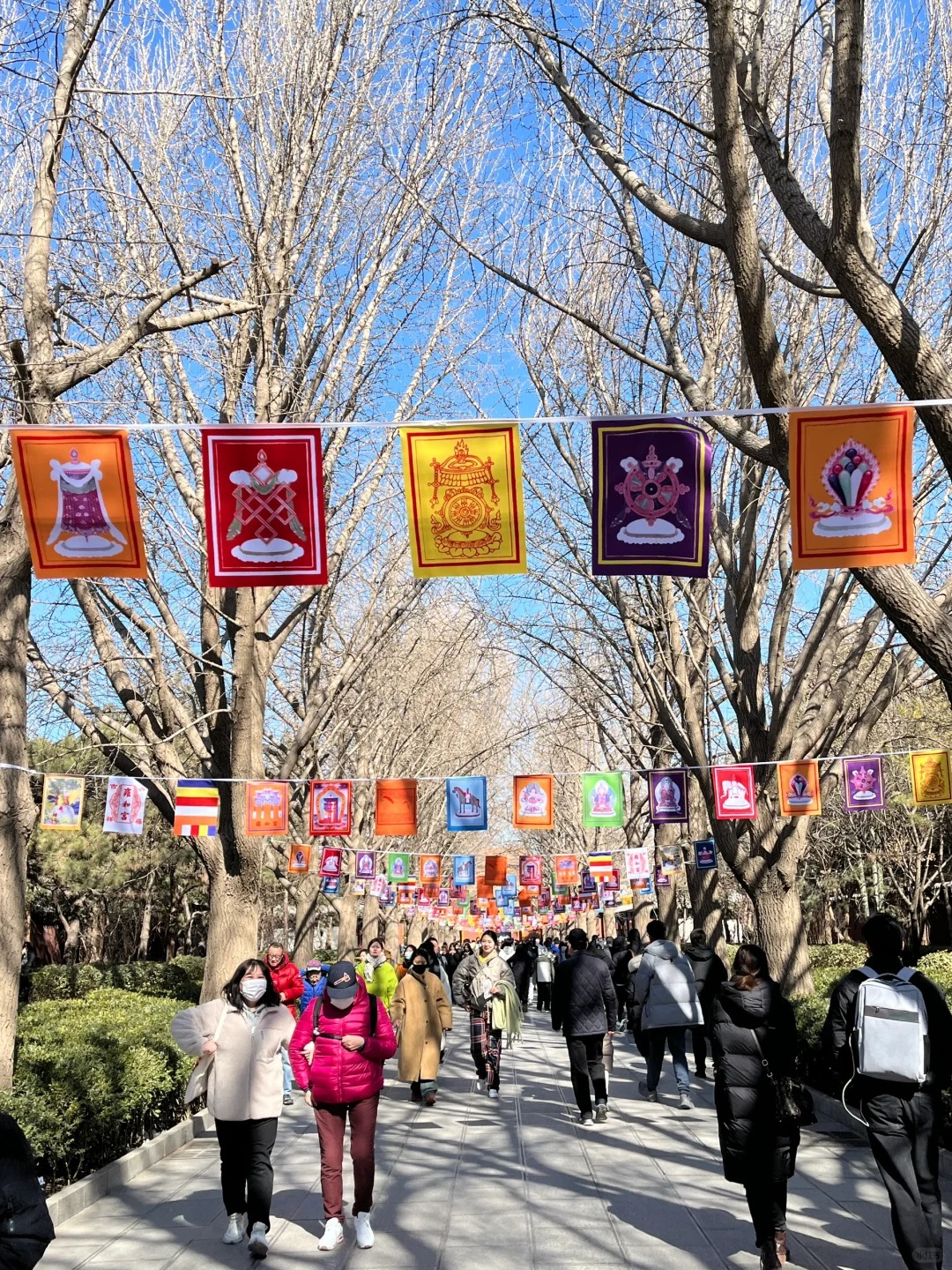 Lama Temple: A Royal Buddhist Temple of the Same Standard as the ...
